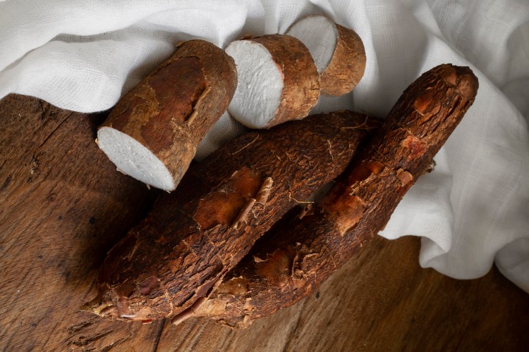 Is organic tapioca fiber good for you? - Shine Health